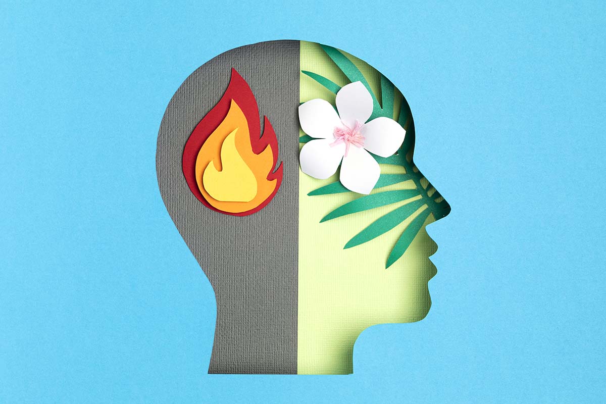 Four Facts About Mental Health Therapy You Probably Didn t Know Sun