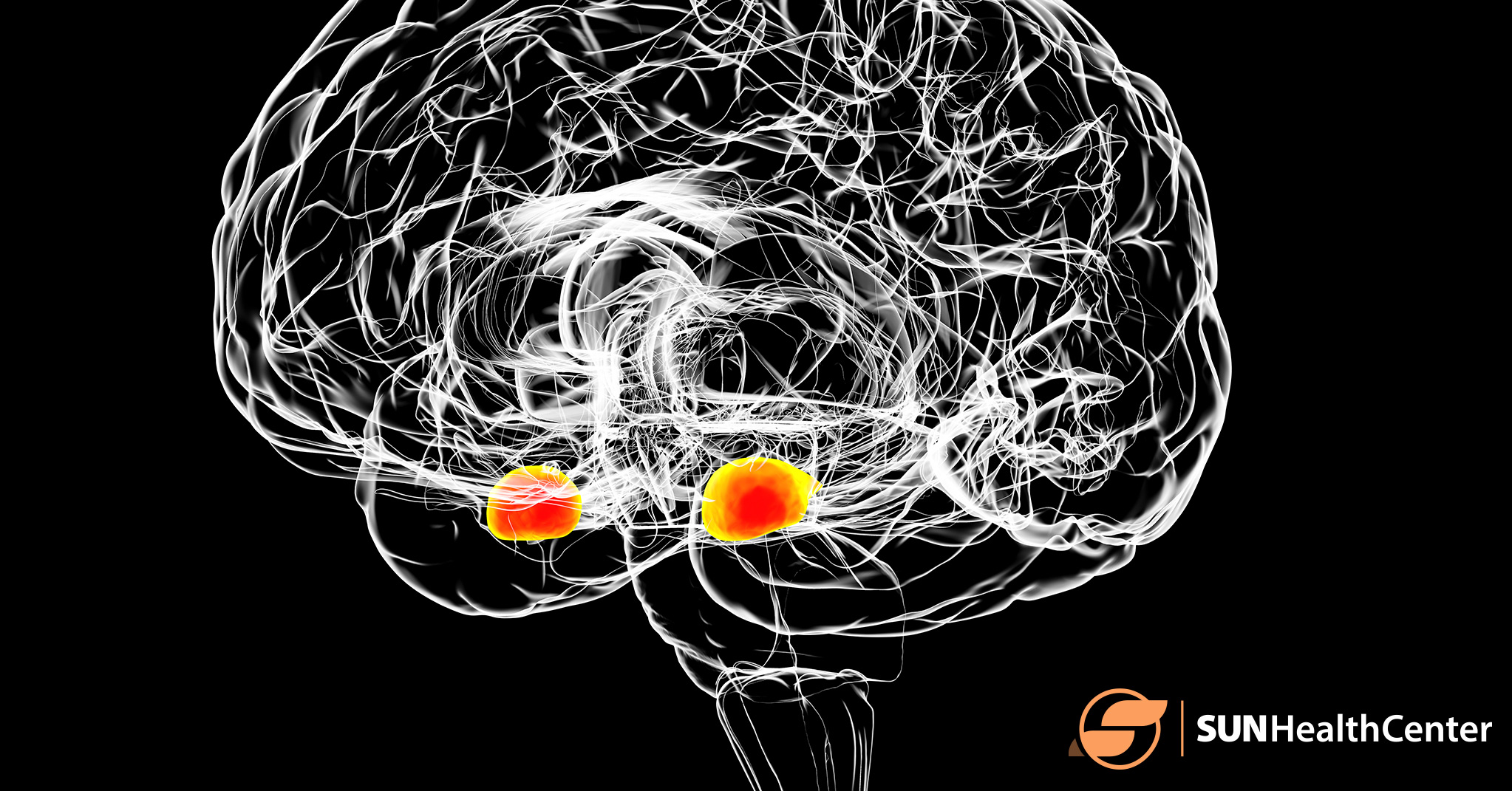 The Influence of the Amygdala on Mental Health | Sun Health Center